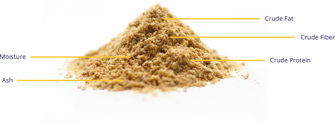 Feed and Raw Materials Testing – Eurolab Philippines, Inc