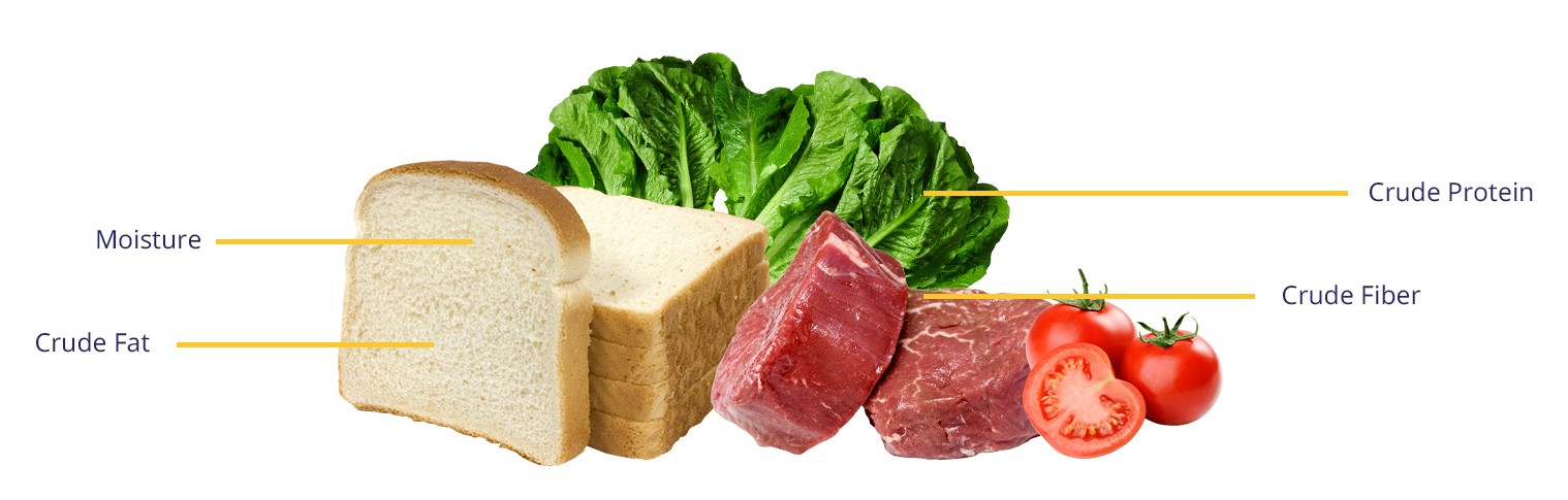 Food Testing – Eurolab Philippines, Inc